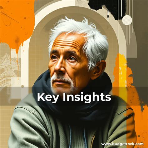 Key Insights Budgetrock
