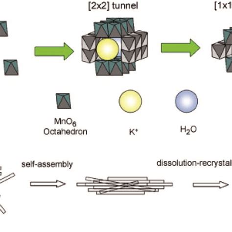 Schematic Illustration Of The Self Assembly Of α Mno2 Nanowires Into