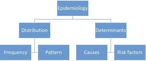 Lecture 6 Epidemiology Flashcards Quizlet