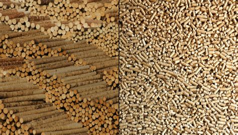 The Effect Of Pellet Length Opf