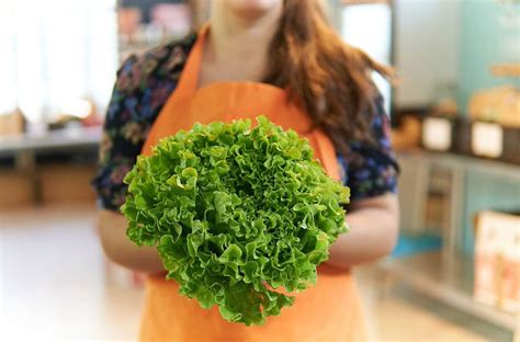 Cambio Climático Y Una Alimentación Sostenible Dia Mundial Del Clima 2021