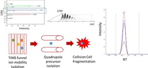 Four Dimensional Exosomal Proteomic Detection Service Mtoz Biolabs