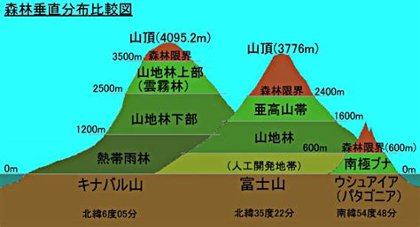 キナバル山の森林限界