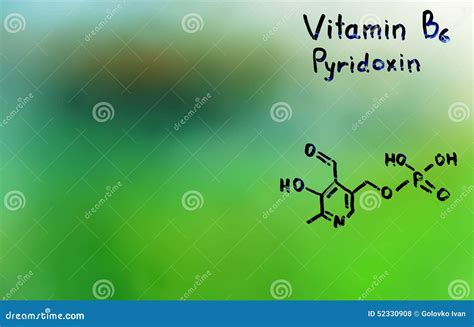 Vitamin B6 Formel Vitaminer Arkivfoto Bild Av Väx örtar 52330908