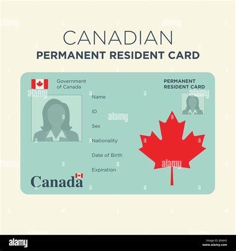Canadian Permanent Resident Card Immigration Stock Vector Image And Art