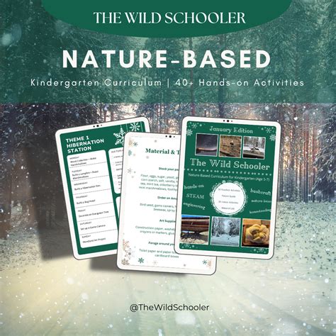 Nature Based Curriculum For Kindergarten