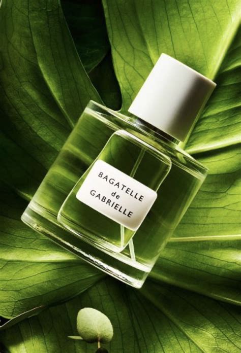 Elegant Perfume Bottle On Green Leaf