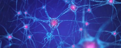Github Dhruv X7xsegmentation Of Neurons From Multi Spectral Images