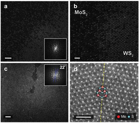 A Adf‐stem Image And The Corresponding Fft Of A Mos2ws2 Download Scientific Diagram