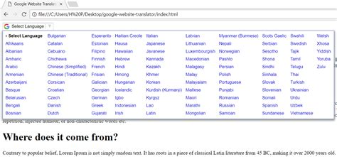 How To Add Multi Language Option In Website Using Google Translator Mg Technologies