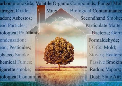 Inquinamento Indoor E Qualità Dellaria Ecco Le Soluzioni