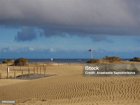 Maspalomas Gran Canaria의 바다 배경에 있는 모래 사막 모래 언덕 붉은 깃발이 있는 해변 수영 금지 0명에 대한 스톡 사진 및 기타 이미지 Istock