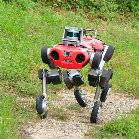 Anybotics