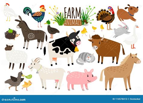 De Dieren Van Het Landbouwbedrijf Binnenlandse Landbouwbedrijf