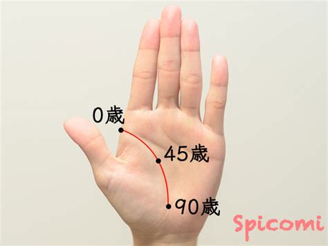 手相一覧まとめ基本線補助線サイン Spicomi