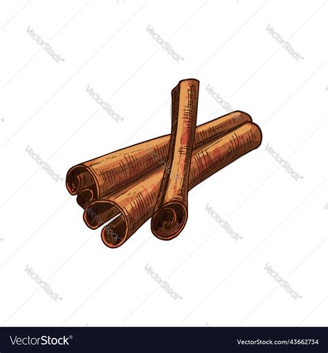 Rolled Cinnamon Sticks Isolated Culinary Condiment