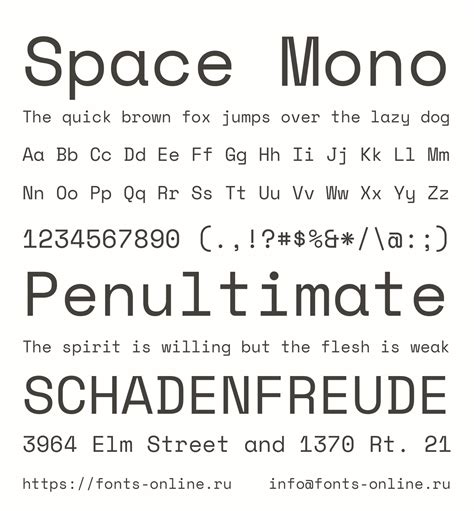 Space Mono Font