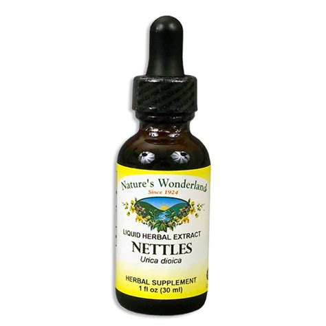 Nettle Leaf Extract, 1 fl oz / 30ml (Nature’s Wonderland) – Homeward ...