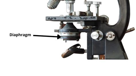 Parts Of A Microscope And Their Functions Biology Notes Online