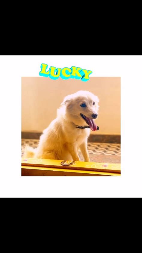 Anusha Reddy Anushareddy3010 • Instagram Photos And Videos