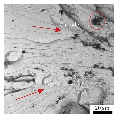 The Fracture Morphology Of Tensile Specimens A The Conventional Download Scientific Diagram