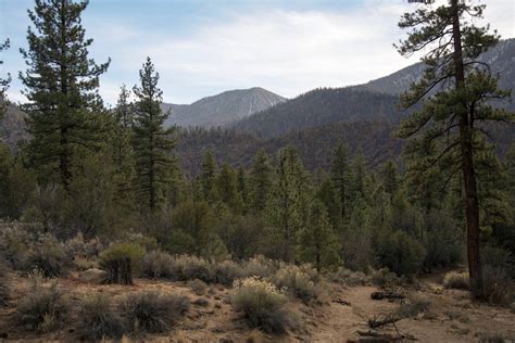 San Bernardino National Forest Camping