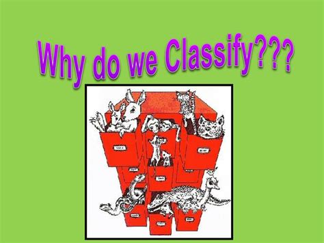 Ppt Why Do We Classify Powerpoint Presentation Free Download Id