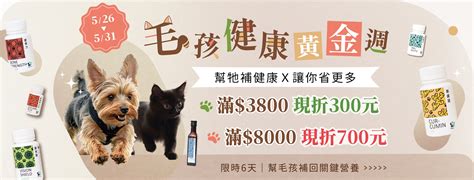 完美世界2粉絲團 遊戲新幹線 《揭開這千年未解之謎》 千年後，尋夢港的人們在打撈沉船時，意外發現記載著秘寶窟所在的藏寶圖，這批藏寶圖