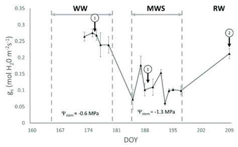 Variation Of Average Stomatal Conductance G S Along The Measurement