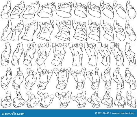 50 Female Chests Digital Art 17 3d To 2d Stock Illustration