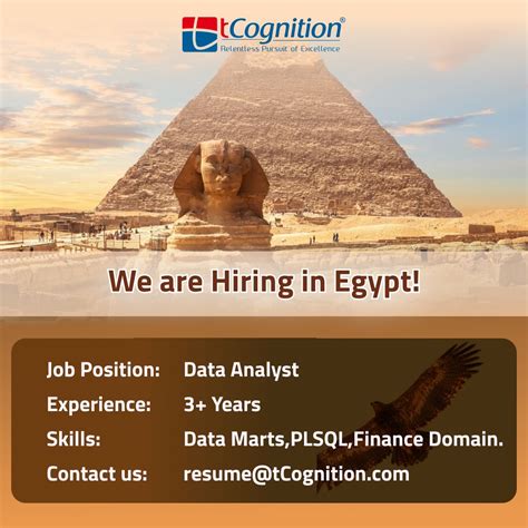 Tcognition On Linkedin Dataanalyst Tcognition Job Placement