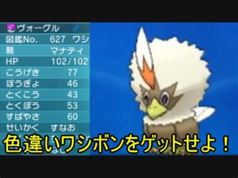 ポケモンoras 色違いワシボンをゲットせよ！ ニコニコ動画