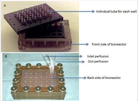 A And B Scalable 24 Well Miniature Perfusion Bioreactor The Miniature Download Scientific