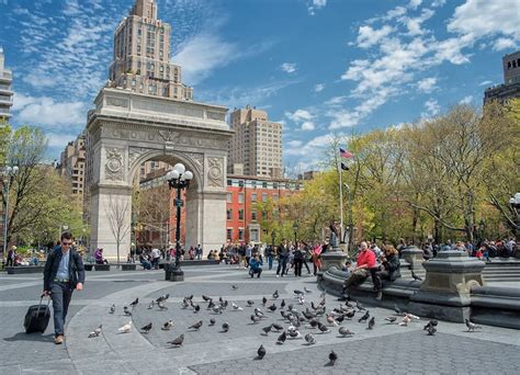 Bird Control In New York City Bird Deterrence Experts