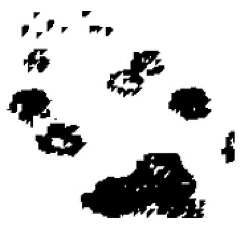 Vehicular Traffic Congestion Classification By Visual Features And Deep