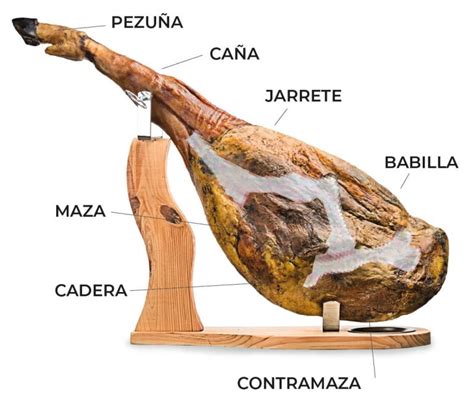 Coloca un jamón en un jamonero en 3 pasos Soportepara es