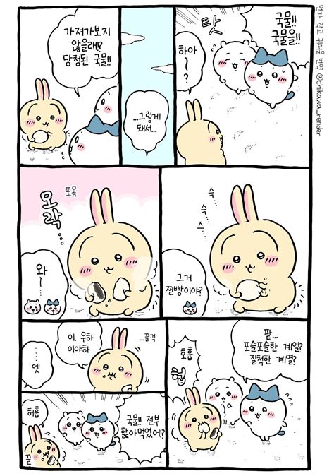 더쿠 치이카와 먼작귀 개인 국 콘테스트 사태 