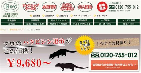石川県（金沢）ハクビシン駆除おすすめ業者の安いランキング 費用・実績を徹底比較