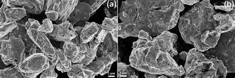Sem Image Of Annealed Cobalt Particles A Without And B With High