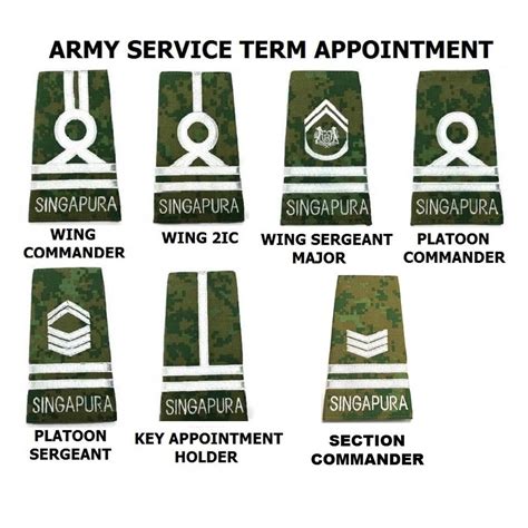 No 4 Cadet Service Term Appointment Ranks Army 1517 2b Soldiertalk