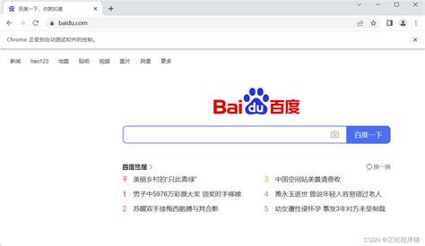 自动化测试 Selenium 自动化测试selenium CSDN博客