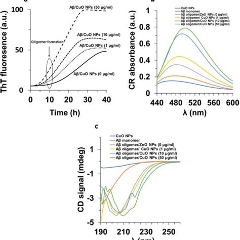 Analysis Of Aβ 1 42 Oligomerization With And Without Cuo Nps 1 10