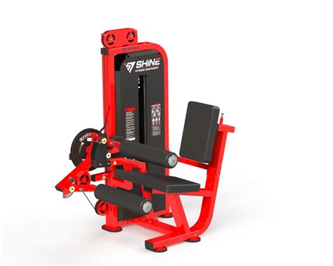 Seated Leg Curl And Leg Extension Combo At ₹ 58000piece Gym Equipment