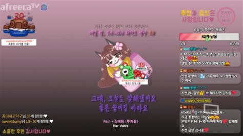 생 꽁냥꽁냥 쿨쿨 수면 라디오♪ 힐링 잠방 음방 마이크 Off 잔잔한 조용한 음악 노마이크 잠자며 듣기 좋은 힐링 음악 꿀잠