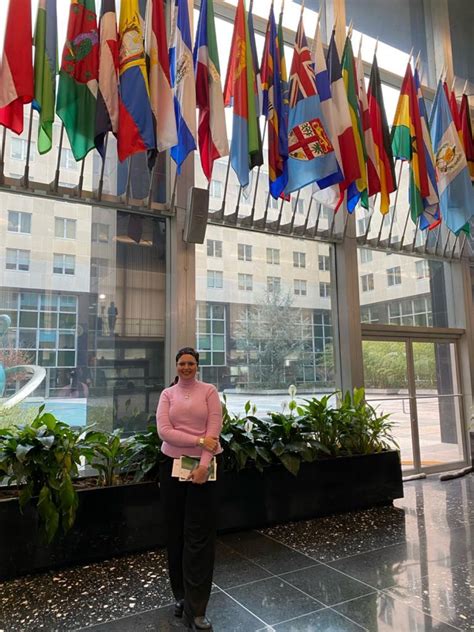 mohammed sherif mba pmp on linkedin ivlp egypt