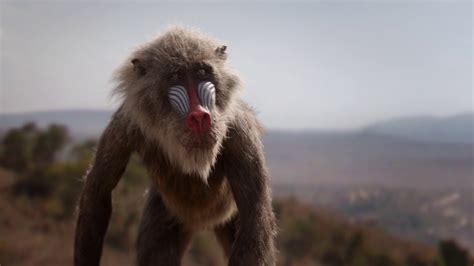 מלך האריות טיזר טריילר מדובב Youtube