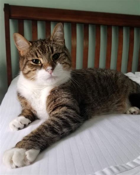 Pin Von Janet Baker Auf The Bugs Lady Bug Love Bug Dudelbug And Junebug