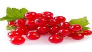 Grosella Roja Origen Descripción Variedades Usos Cuidados Y Más