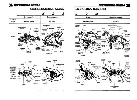 Биология в картинках и схемах - Фото подборки