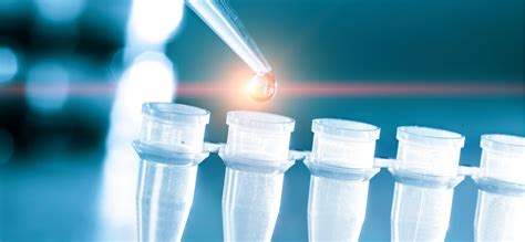 An Introduction To Isothermal Amplification Goldbio